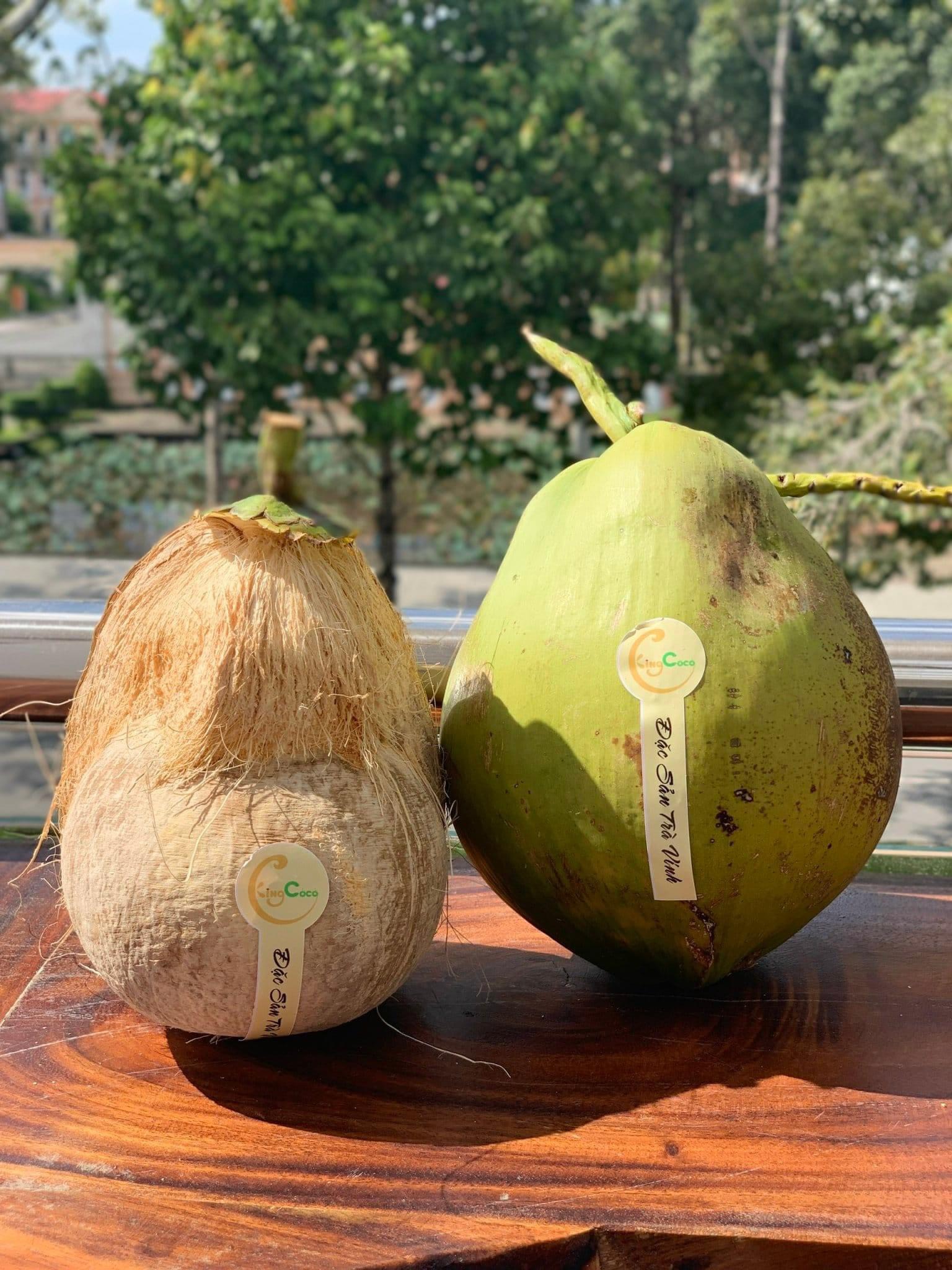 Dừa Sáp King Coco Loại 1 - KingCoco